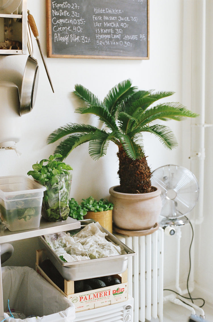 Atelier September – Atelier September Cph